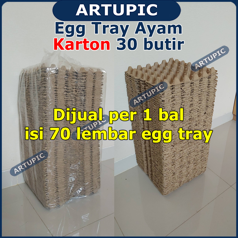 Egg Tray Telur Ayam KARTON isi 30 butir Artupic